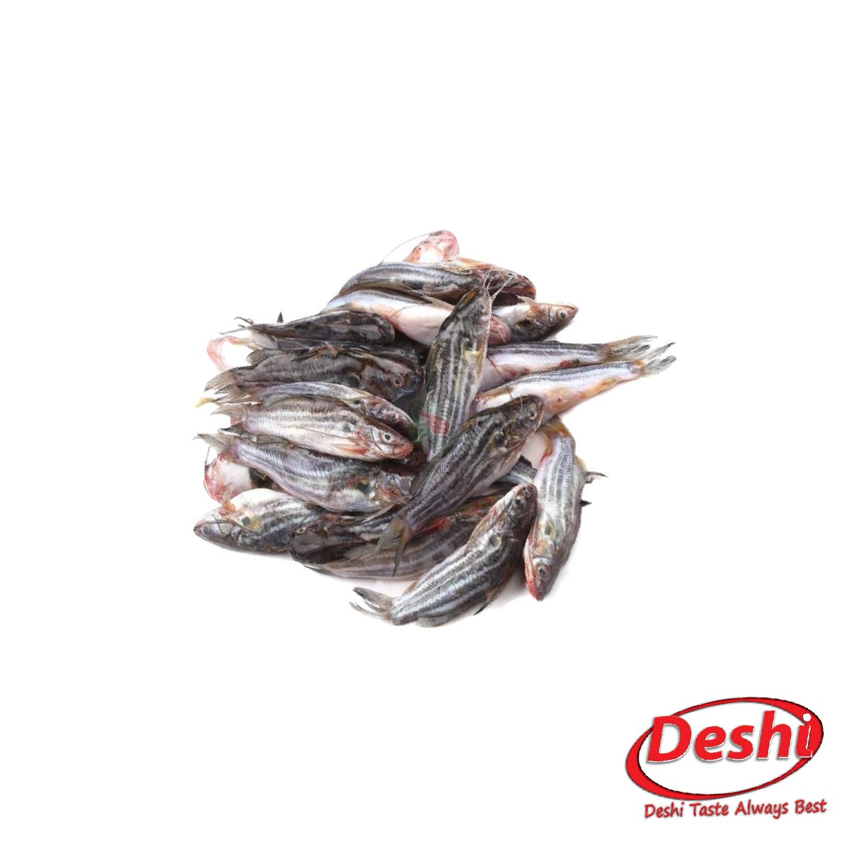 Deshi Fish Archives - Belaamie