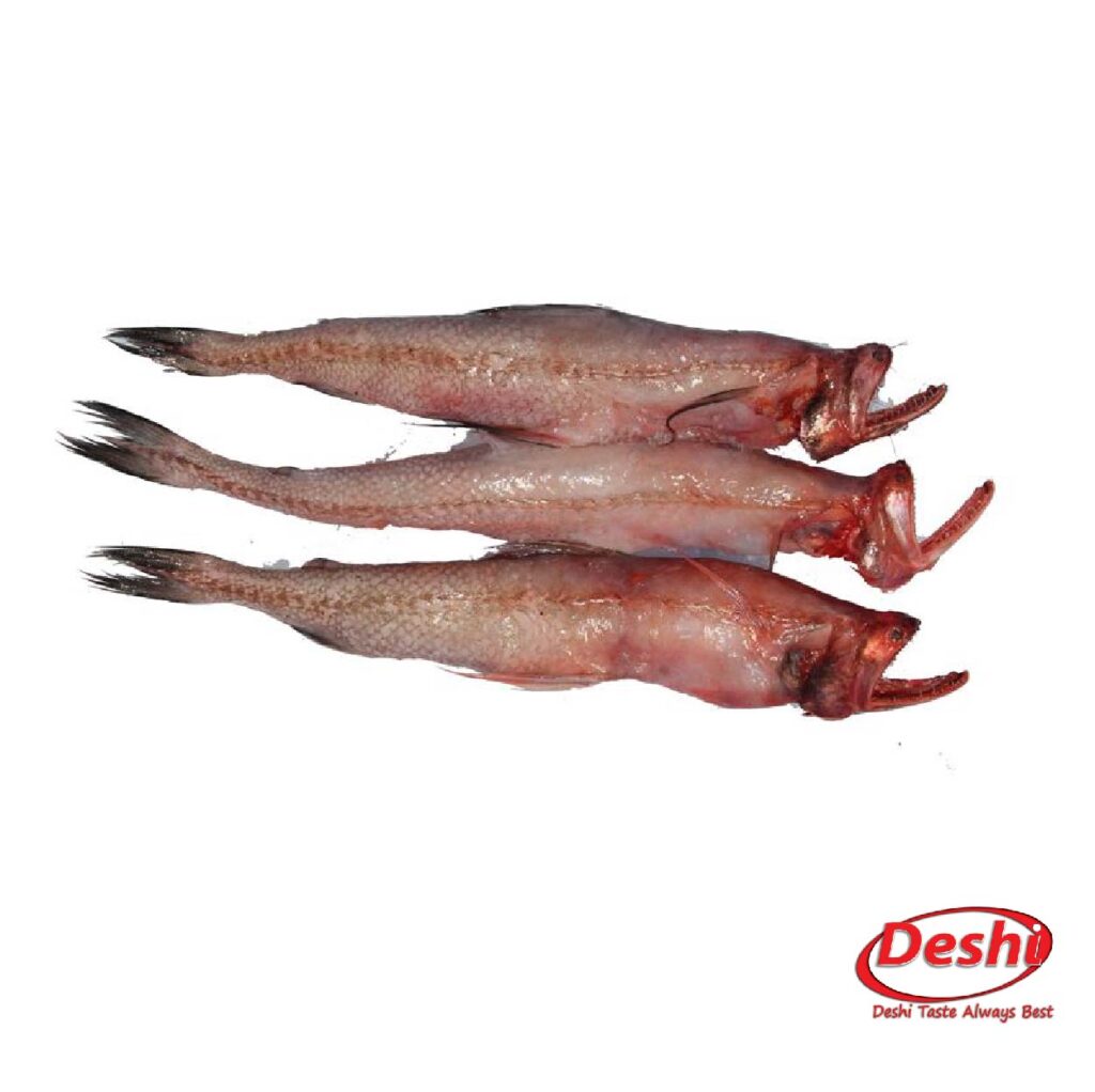 Lotia Fish (500gm pack) - Belaamie